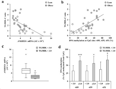 Ankrd26 Gene Expression Promoter Methylation And Cardio Metabolic Download Scientific Diagram