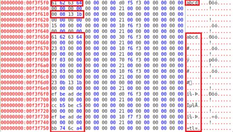 SegFault CTF Team