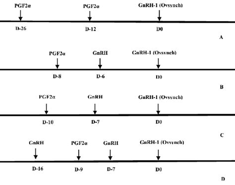 Representação Esquemática Dos Protocolos De Pré Sincronização Download Scientific Diagram