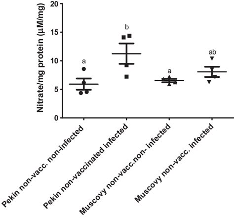 Total Nitrate And Nitrite Content Produced By Nos Measured In Serum Download Scientific