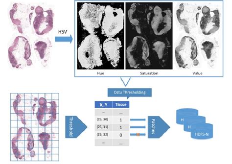 wsi image segmentation and look up table construction the x y