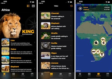 Africa App Sample Swiftui App