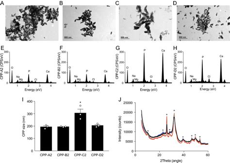 Calciprotein Particle Synthesis Strategy Determines In Vitro