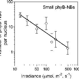 Inverse Log Log Linear Relationship Between The Number Of Small Download Scientific Diagram