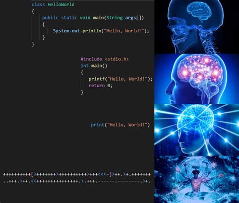 The Best Programming Language Ever Rprogrammerhumor
