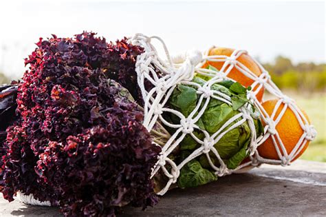 야채 과일과 신선한 허브를 곁들인 에코 백 유기농 녹색 채소를 곁들인 친환경 메쉬 백 제로 폐기물 플라스틱 무료 개념 건강한 깨끗한 식생활 식단과 해독 가방에 대한 스톡