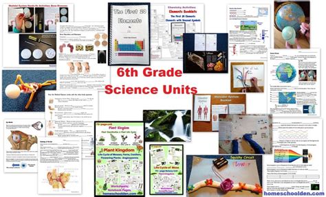 Free 6th Grade Science Activity Download Free 6th Grade Science