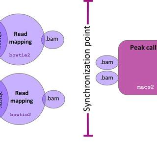 Workflow Of The Automatic Pipeline For The Analysis Of ChIP Seq Data In Download Scientific
