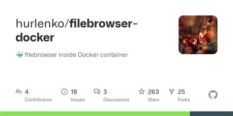 Issues Hurlenko Filebrowser Docker GitHub