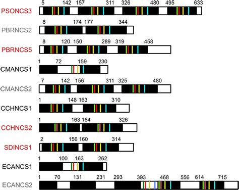 Organization Of Sequentially Repeated Domains And Key Catalytic