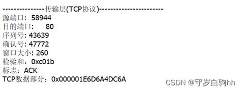 设计并实现一种基于npcap的网络嗅探器（有直接能运行cpp的mfc代码 实验报告） npcap监视数据包 csdn博客