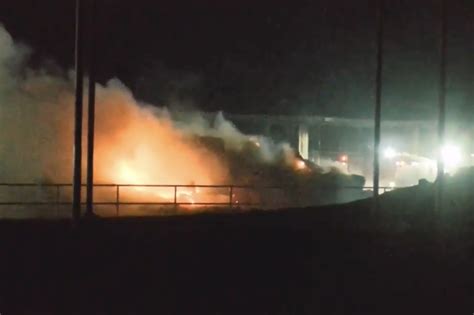 Texas Dairy Farm Blaze Leaves 20k Cattle Dead One Worker Injured