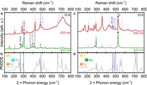 Higher Order Raman Processes In Janus Wsse And Mosse Monolayers Raman