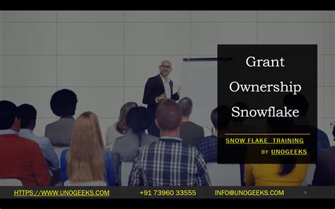 grant ownership snowflake