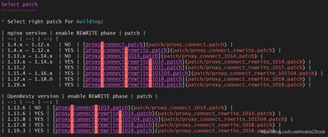 Nginx：配置正向代理【ngxproxyconnectmodule】nginx正向代理配置文件模板 Csdn博客