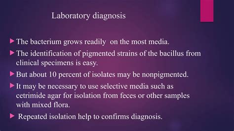 Pseudomonas Aeruginosa Original Pptx Pptx Ppt