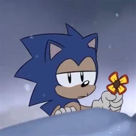 Discuss Everything About Sonic Wiki Zone Fandom