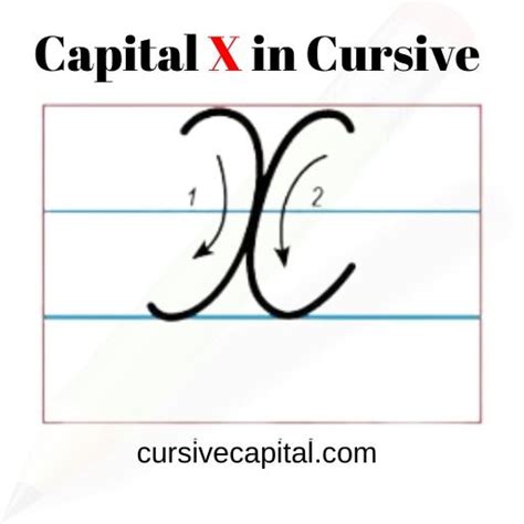 Cursive X Cursive Writing Worksheet Letras