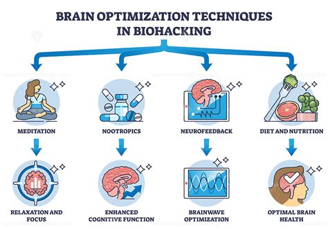 Brain Optimization Techniques And Mind Biohacking Methods Outline