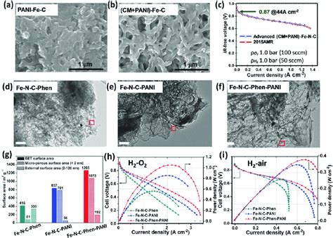 A And B The Hierarchical Pore Structure Of The Pani Fe C Catalyst And Download Scientific