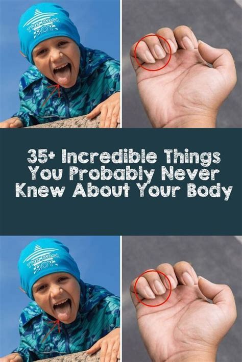 Incredible things most people probably never knew about the human body ...