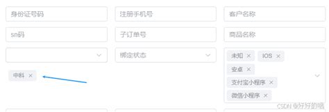 element plus组件库el select组件多选回显踩坑 el select multiple csdn博客