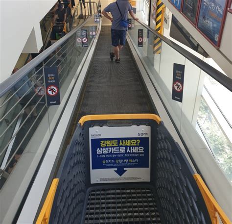 속초 이마트 휴무일 영업시간 캠핑용품 델리코너 고기 주류 상품 찍어왔어요 네이버 블로그