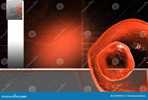 Ovum Cell Stock Illustration Illustration Of Colour 22909012