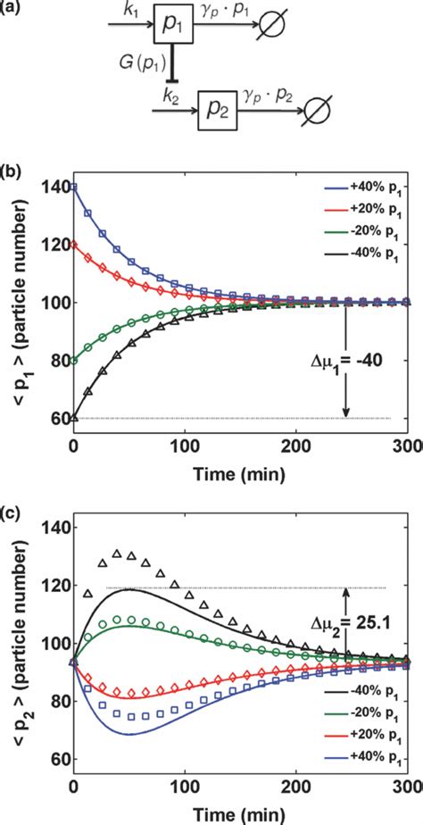 A Nonlinear Gene Regulation Model And Its Dynamic Responses A Download Scientific Diagram
