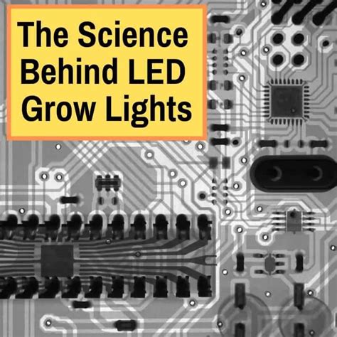LED Grow Light Science How And Why They Work