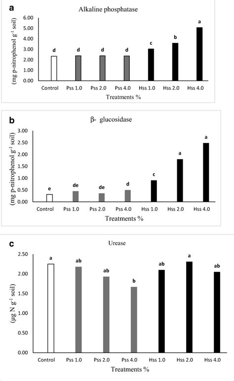 Sewage Sludge Biochar Enzyme Activities Pss Sewage Sludge Pyrochar