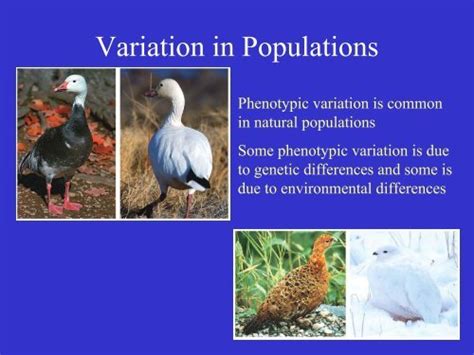 Variation In Populations Pdf