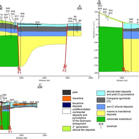 Geological Cross Section Showing The Spatial Distribution Of The