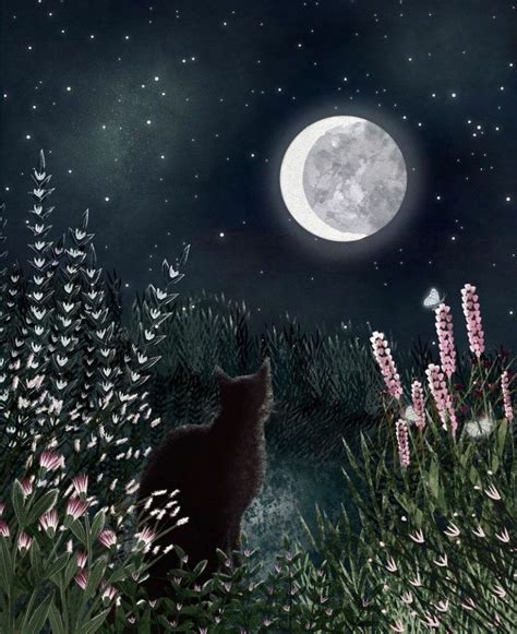 Moonlit Black Cat