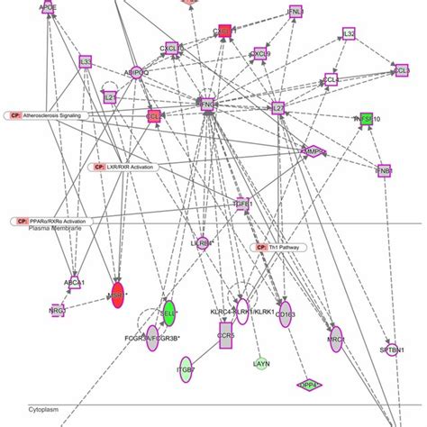 Expression Network Between Men And Women The Intensity Of The Node Download Scientific Diagram