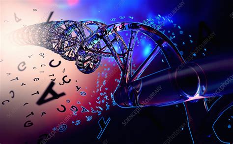 Double Helix With DNA Coding Illustration Stock Image C039 9347 Science Photo Library