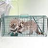 Amazon.com : Qualirey 2 Pcs Humane Squirrel Trap Heavy Duty Live Animal Chipmunk Trap Catch and ...