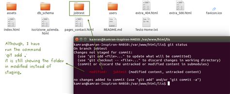 Git Bash Git Files Are Not Getting Added To The Staging Area