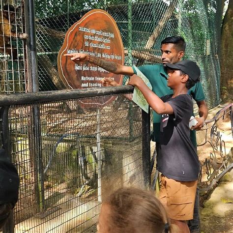 Dehiwala Zoo Sri Lanka All You Should Know Before Going 2026 With