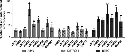 Infection Potential Of Bovine Streptococcus Dysgalactiae Subspecies