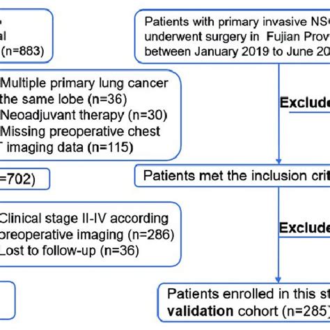 Patient Selection Process Nsclc Non Small Cell Lung Cancer Stas Download Scientific Diagram