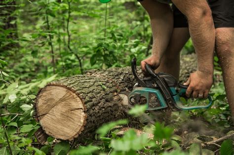 Free Photo Man With A Chainsaw Cuts The Tree