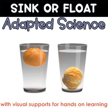 Sink Or Float Science Experiment For Special Education TPT