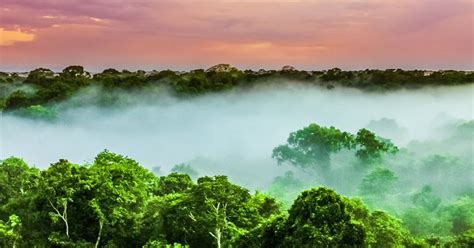 From The Amazon To Agile Success Lessons In Leadership And