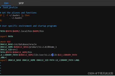 oracle12c数据库安装（静默安装） oracle12c静默安装 csdn博客
