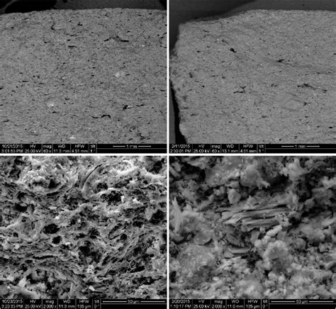 Microstructure And Micro Morphology Top Left Microstructure In