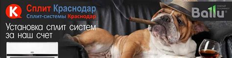 Сплит Краснодар | Широкий ассортимент кондиционеров для дома и офиса в ...