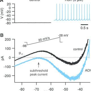 A Color Plot Of The Input Resistance At Different Positions In The Download Scientific