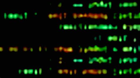 Top Python Projects 2025 Coursera Learn Online