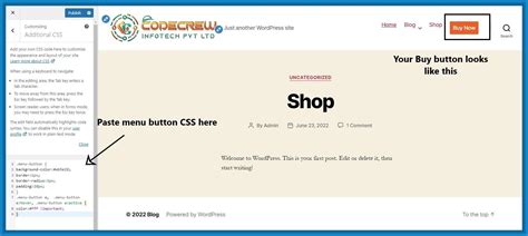 How To Add Button In Wordpress Header Menu Codecrew Infotech
